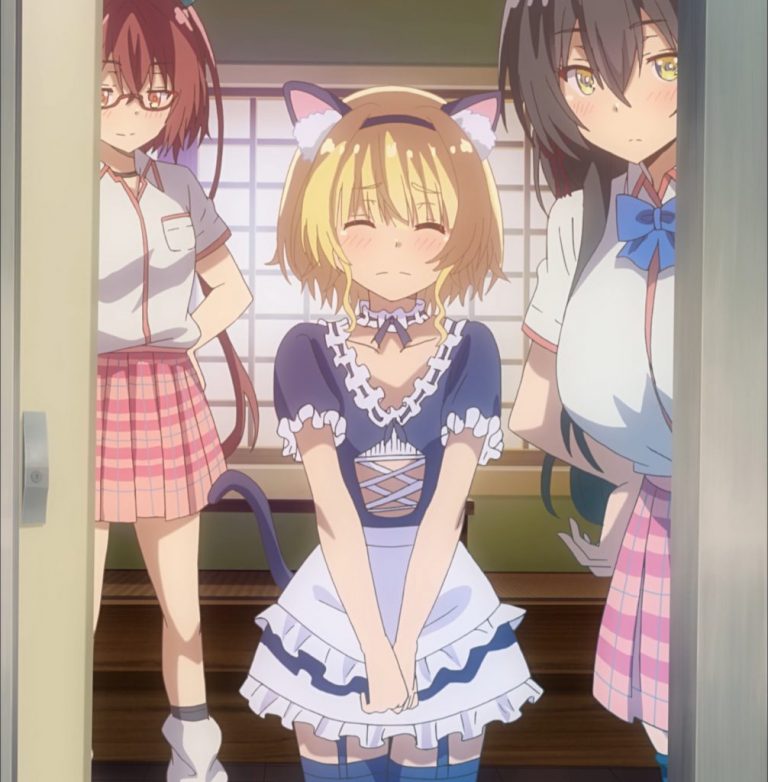 HenSuki: Would You Love a Pervert as Long as She’s Cute? (Season One ...