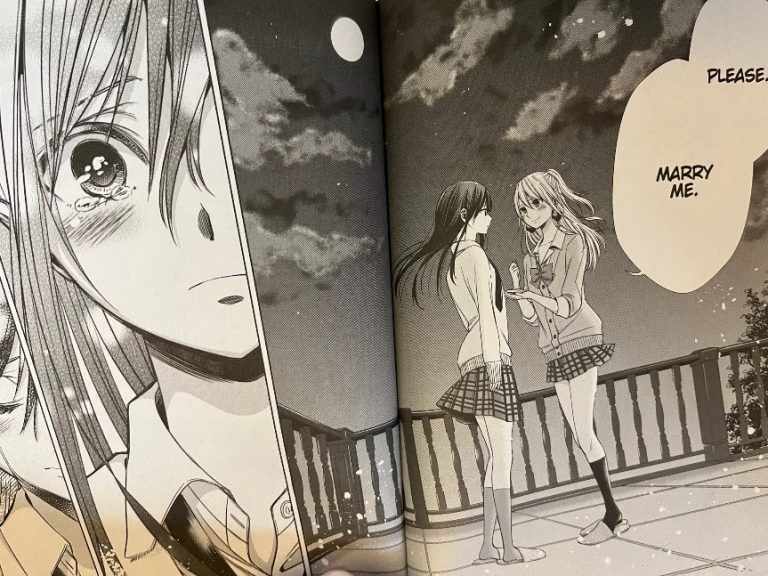 Citrus (Volume 10) - Family Matters - The Otaku Author